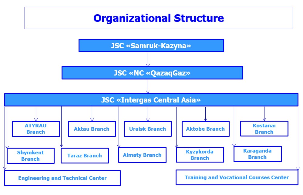 Organizational Structure